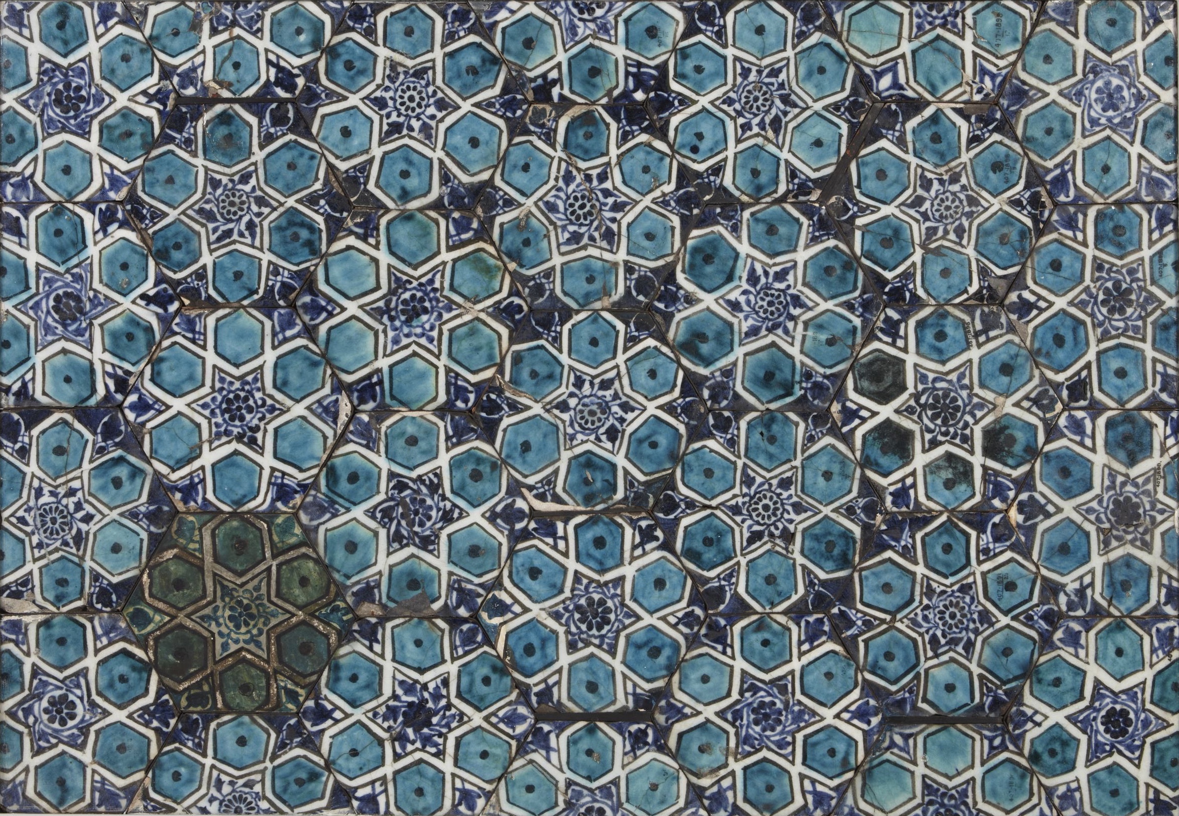 The Jinn-Cat and the Şeyh – Thicket & Thorp